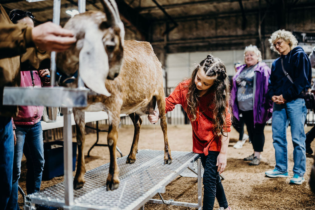 Okie Homesteading – Okie Homesteading